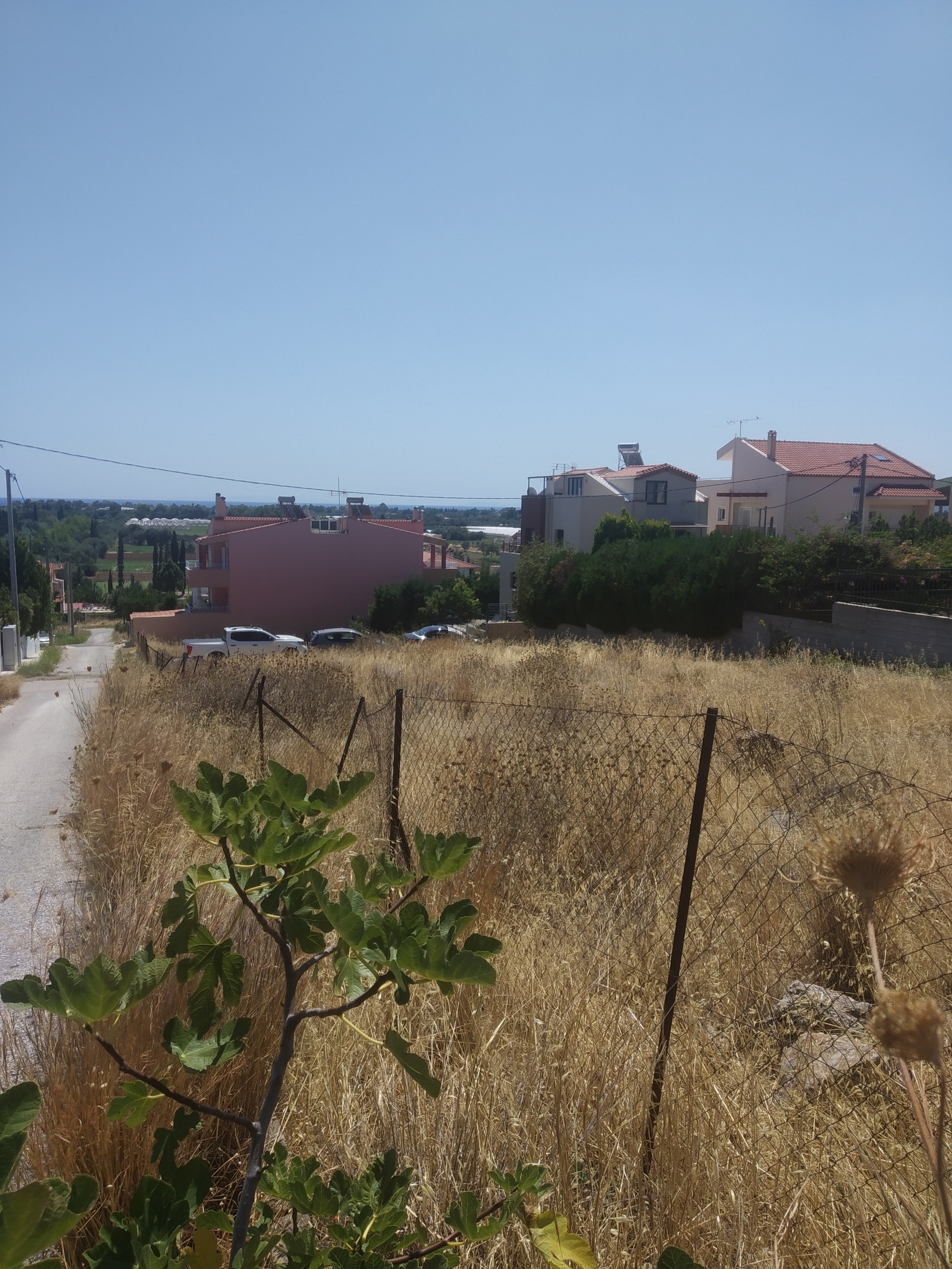 Ακίνητα, οικόπεδα στο Μαραθώνα - Marathon Estate Μεσιτικό, ΟΙΚΟΠΕΔΟ 500 ...