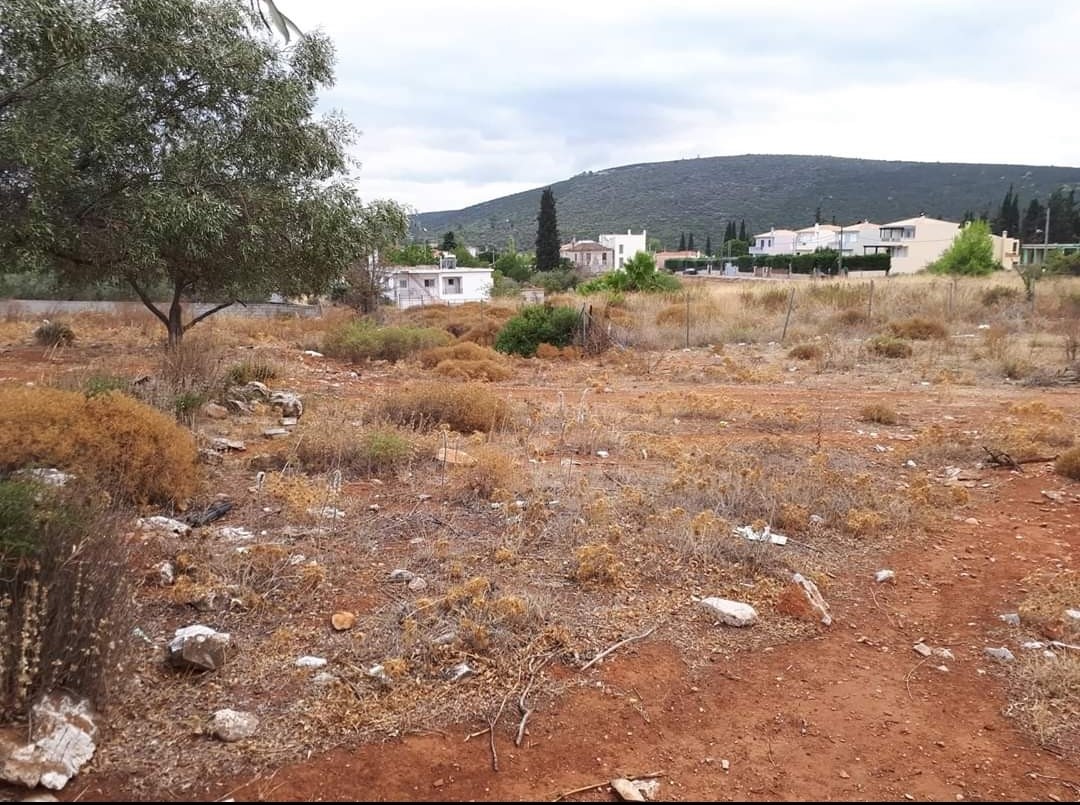 Ακίνητα, οικόπεδα στο Μαραθώνα - Marathon Estate Μεσιτικό, ΟΙΚΟΠΕΔΟ 2 ...